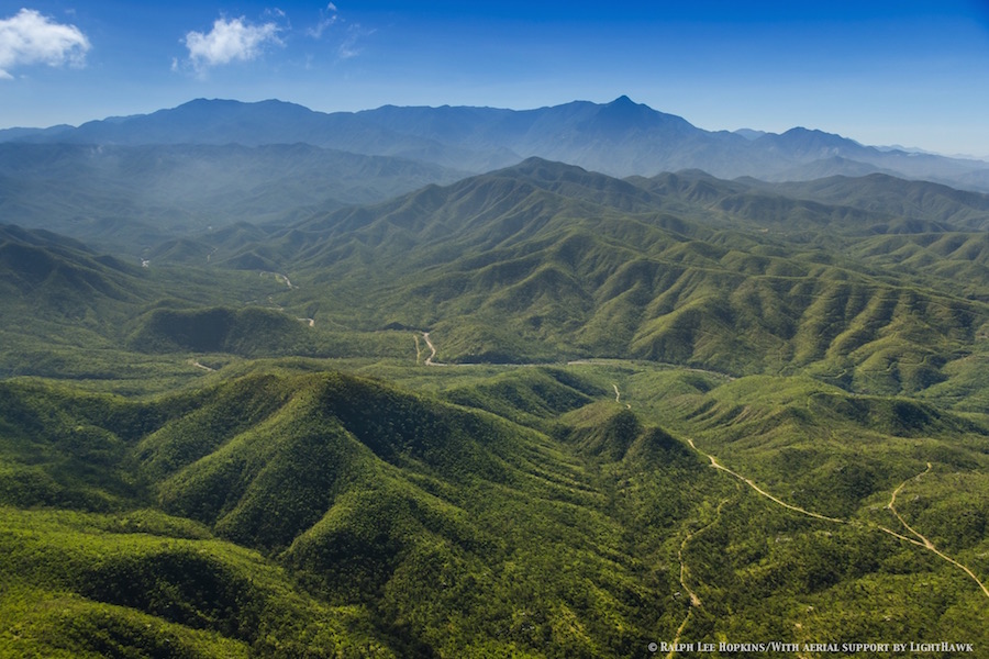 Protecting Mexico’s biodiversity from environmental degradation